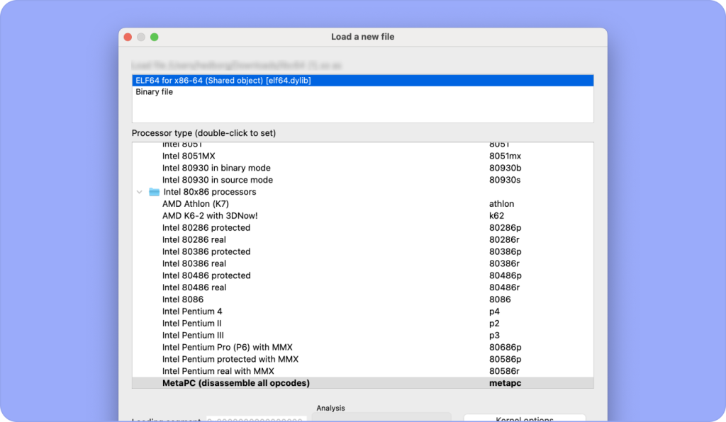 IDA Pro – Hex-Rays IDA Pro 专业反编译工具软件丨中文网站正版购买